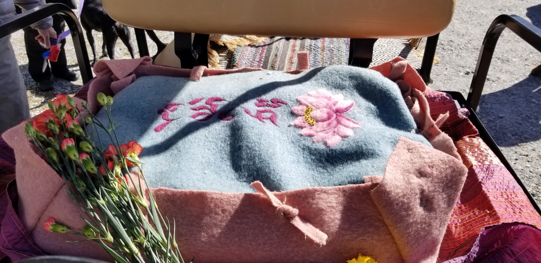 Jasper – Ambassador of Goodwill and Sanctuary Greeter - Carolina ...